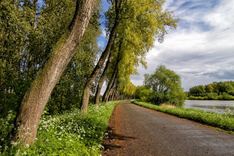 River and Trees stock photo. Image of beautiful, outdoors - 31350422