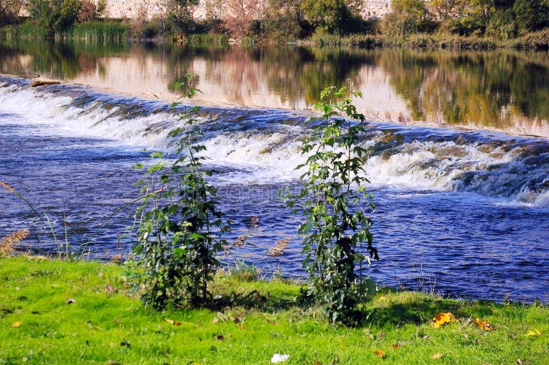 River with Trees and Shrubs Stock Image - Image of forest, backyard ...