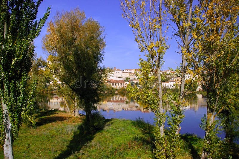 River with Trees and Shrubs Stock Photo - Image of lawn, foreground ...