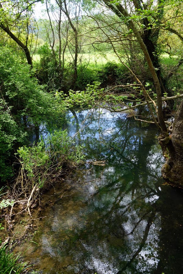 River and trees stock image. Image of green, tree, surface - 151318913