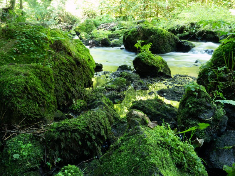 River Trieb in a Nature Park in Vogtland Stock Photo - Image of ...