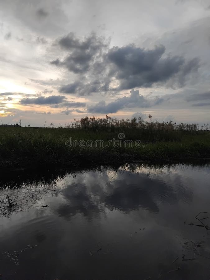 River with Twilight Sky and Elephant Grass, Nature Stock Photo - Image ...