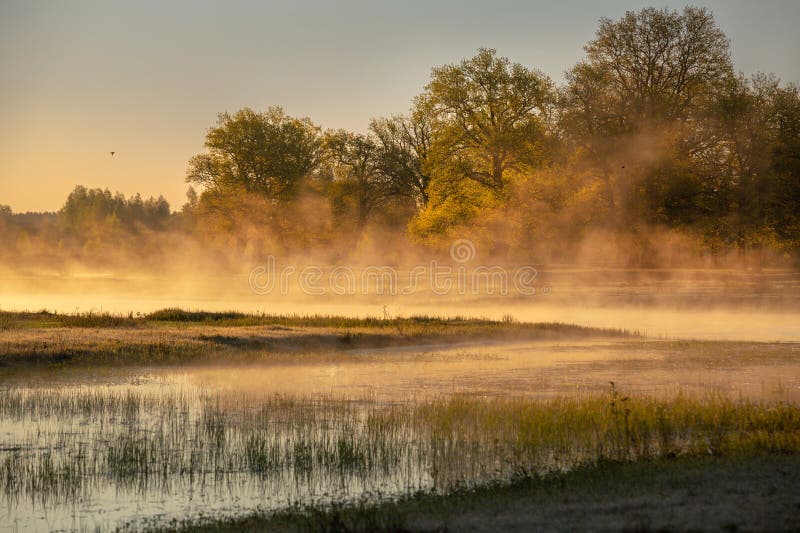 River Ubarc (Belarus) at Sunrise Stock Image - Image of morning ...