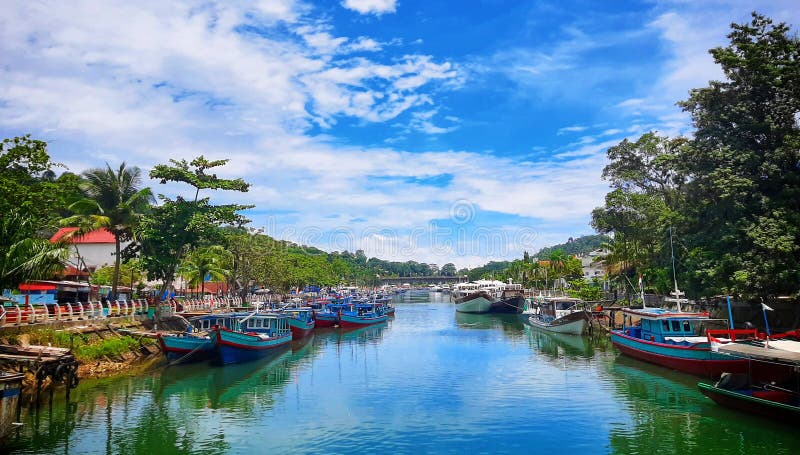 River under the bridge stock photo. Image of flower - 208456022