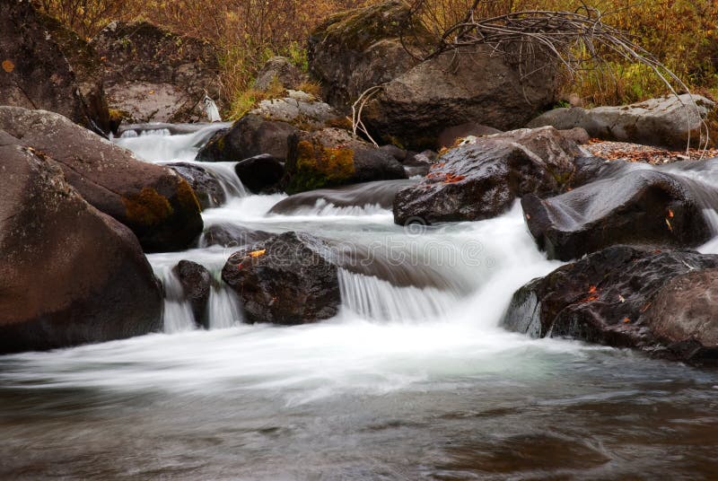 River stock photo. Image of mountain, forest, pure, flowing - 35443234