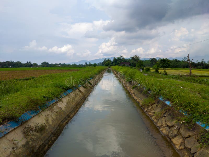 River that is Used As a Source of Irrigation System for Irrigating Rice ...