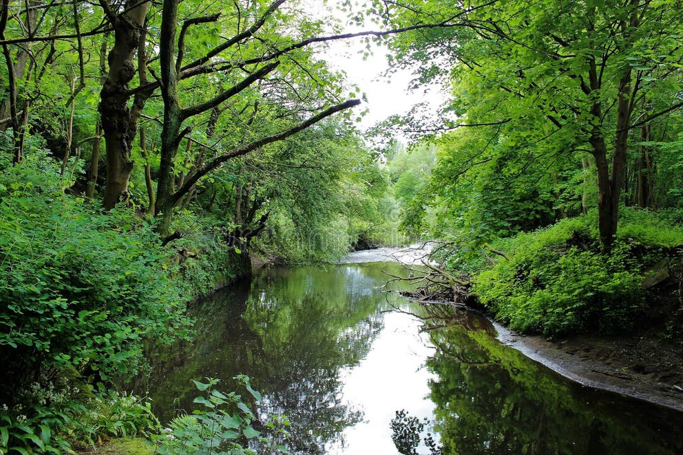 River in the vale stock photo. Image of plant, foliage - 93424892