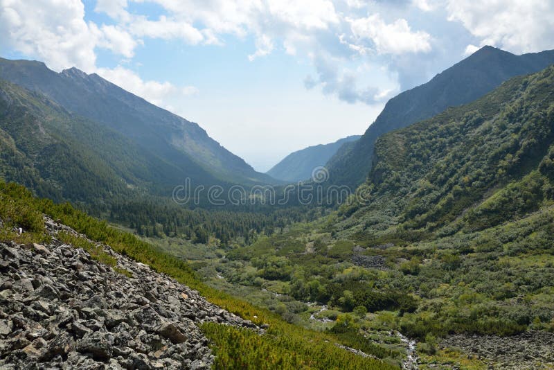 River Valley Barguzinsky Ridge in Lake Baikal Stock Photo - Image of ...