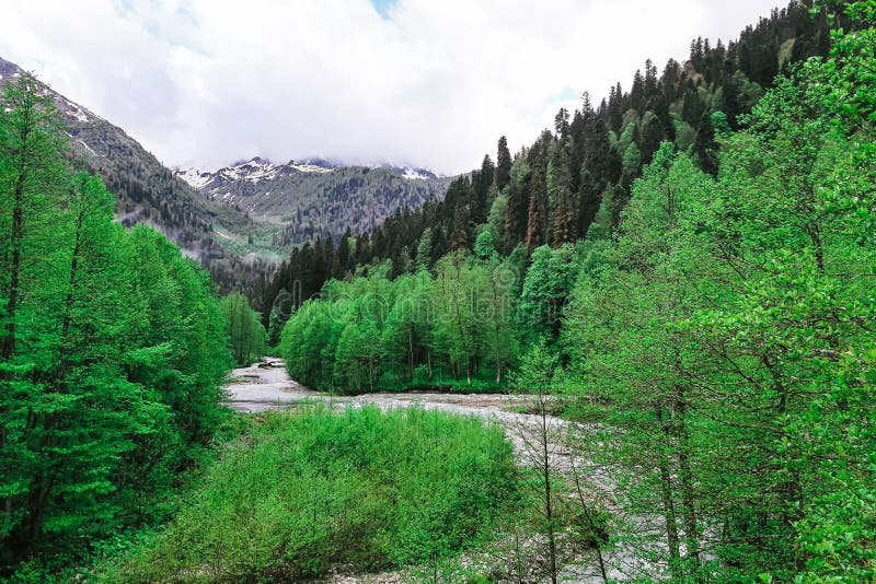 River Valley Spring in the Mountains. Green Vegetation Stock Image ...
