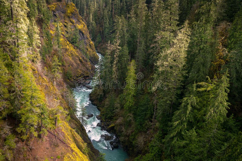 River Valley stock image. Image of tree, stream, evergreen - 91552193