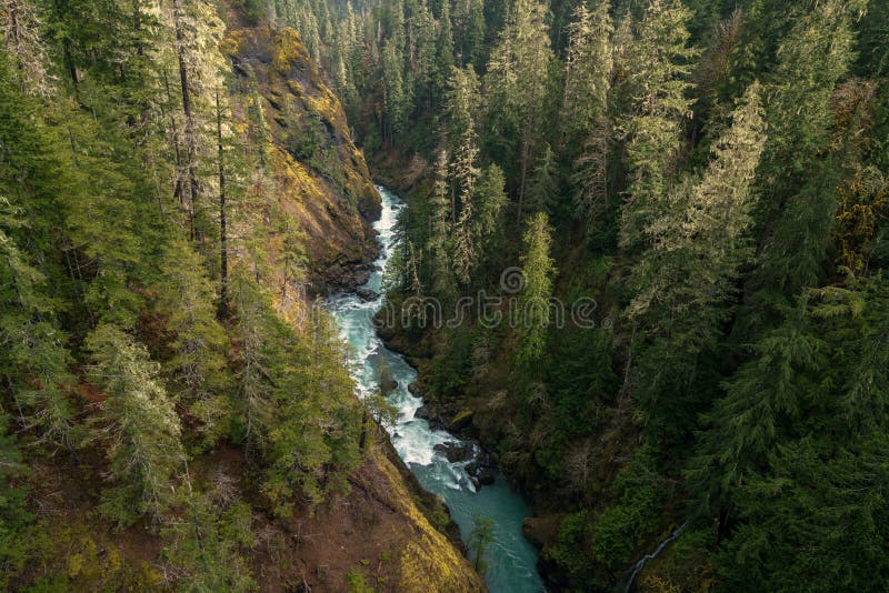 River Valley stock image. Image of tree, stream, evergreen - 91552193