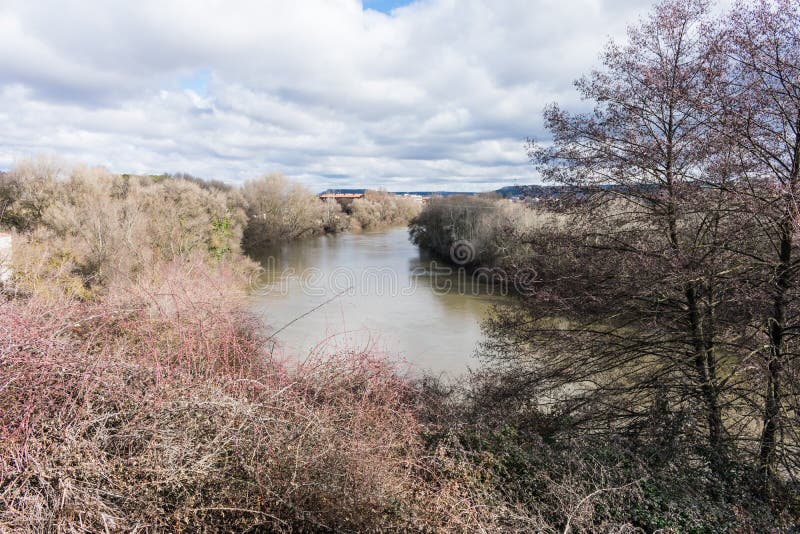 River with Vegetation on the River Bank Stock Photo - Image of white ...