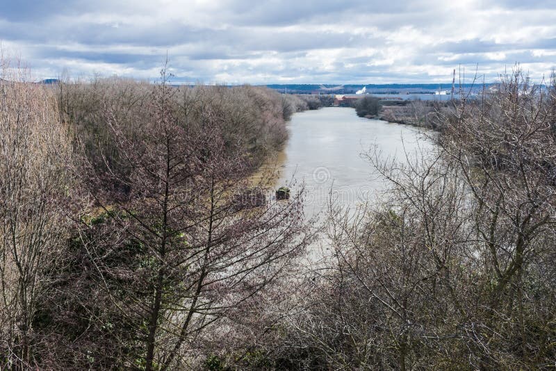 River with Vegetation on the River Bank Stock Photo - Image of murray ...