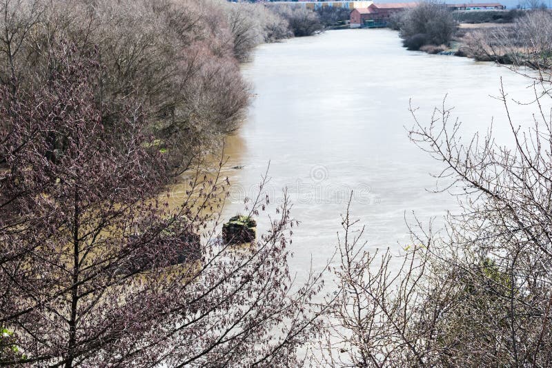 River with Vegetation on the River Bank Stock Photo - Image of rural ...