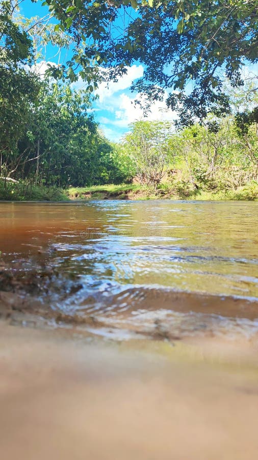 River with Vegetation on the Banks, Crystal Clear and Shallow Waters ...