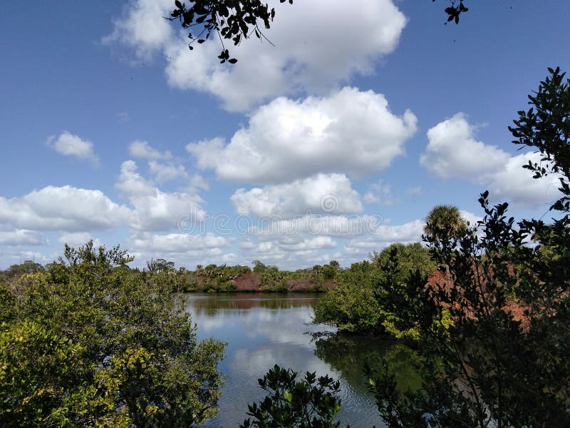 Spring in Florida stock photo. Image of spring, river - 118681746
