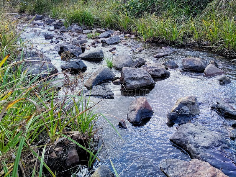 River stock image. Image of interesting, creek, green - 100695063