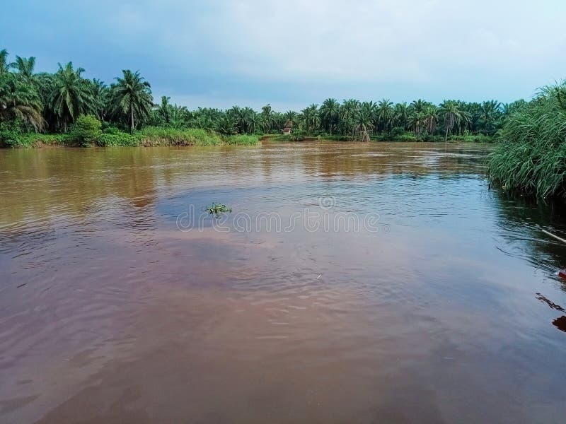 A River with Very Murky Water Stock Image - Image of bayou, mudflat ...