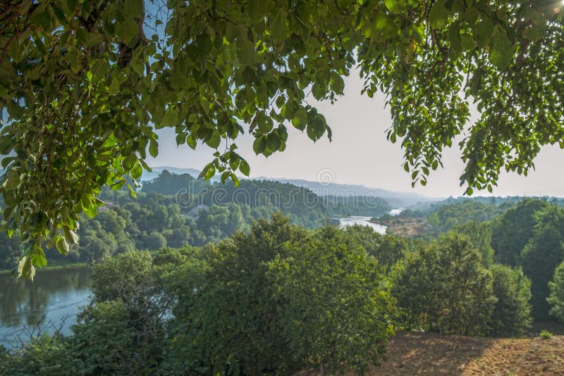 River View from Below a Tree, North Portugal Stock Image - Image of ...