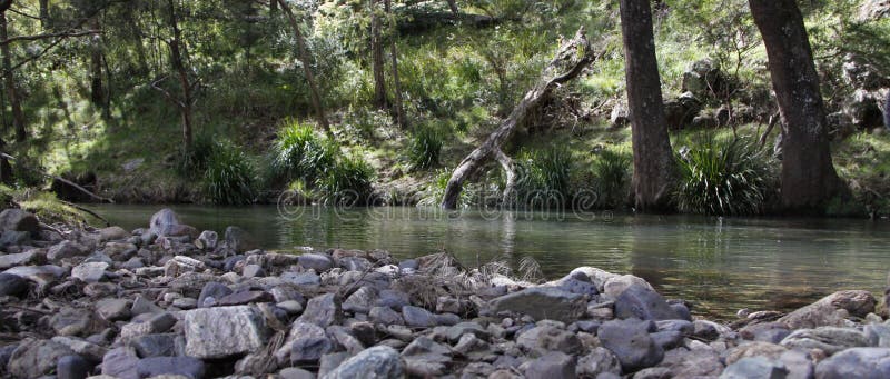 River view low stock photo. Image of branches, surface - 21086476
