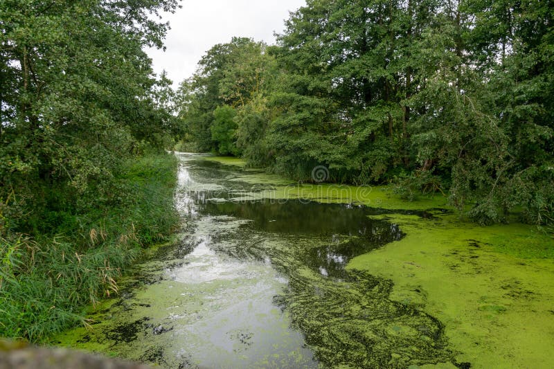River View, River Surface Covered with Algae, Green Landscape from ...
