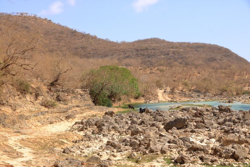 River View in Wadi Darbat Near Salalah in Oman Stock Photo - Image of ...