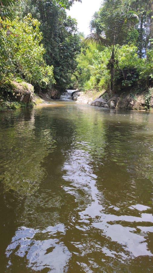 Forest River Stone and Tree with Sun Beam, Water Flow in Perak Malaysia ...