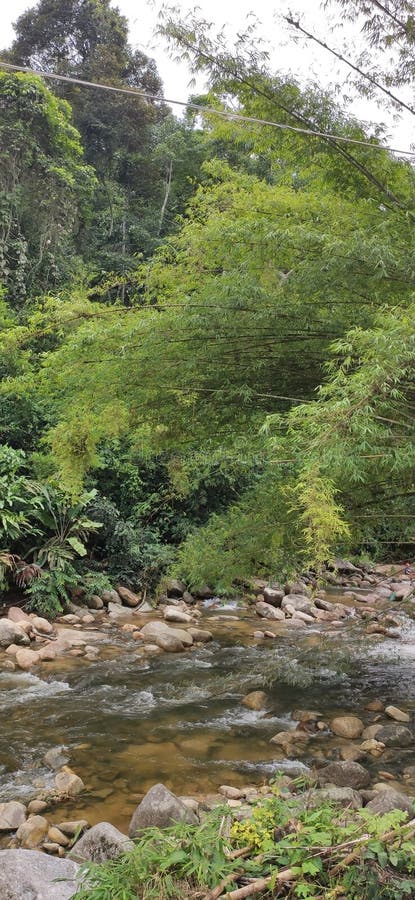 Forest River Stone and Tree with Sun Beam, Water Flow in Perak Malaysia ...