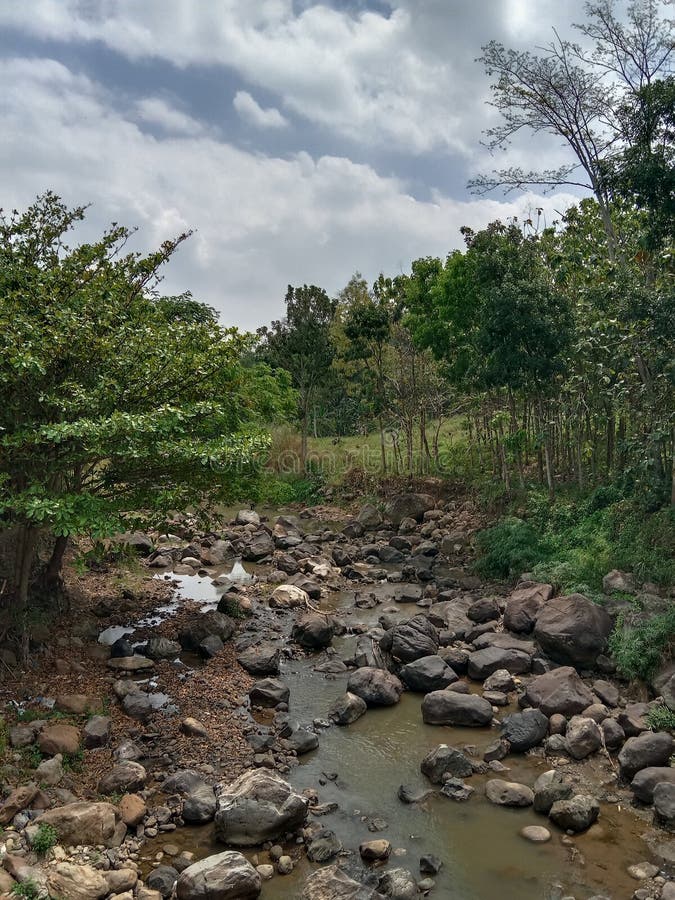 River in a Village with Natural Stones Lying Beautifully Stock Photo ...
