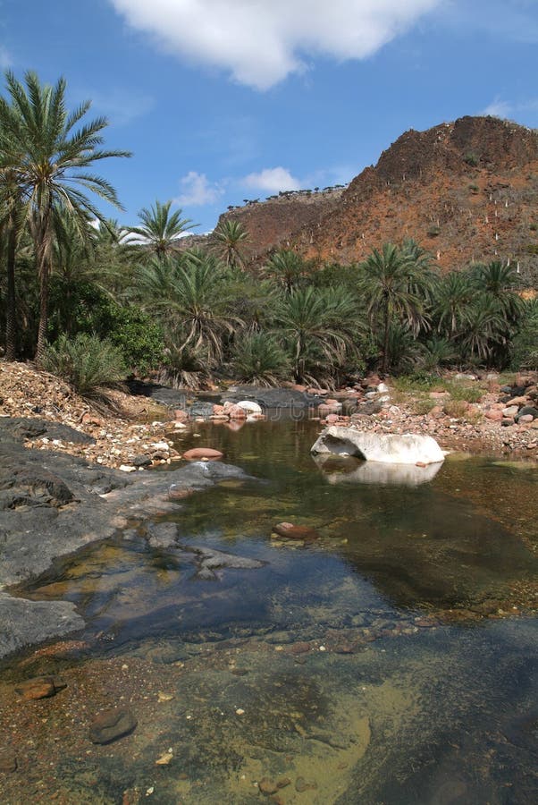 River of Wadi Daerhu at Socotra Island Stock Image - Image of wadi ...
