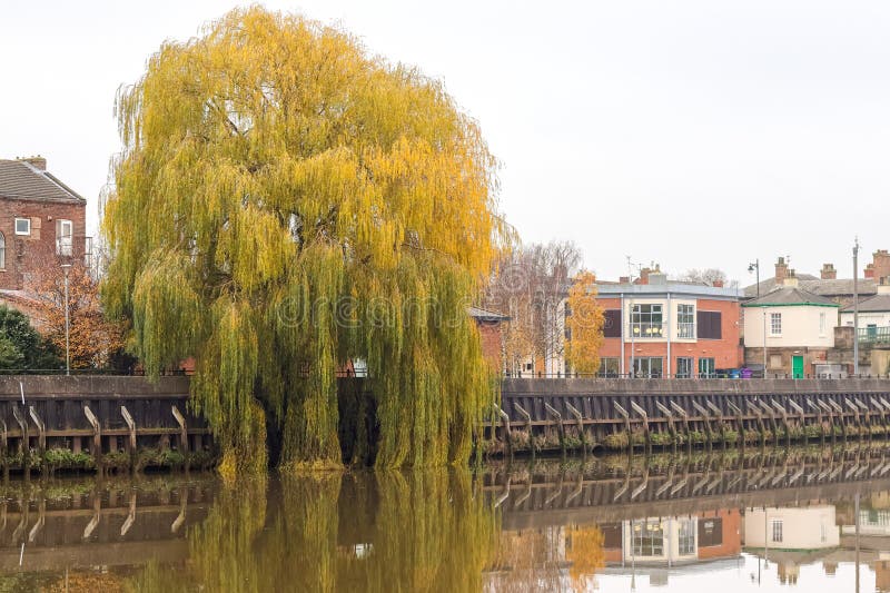 River Walk View stock photo. Image of path, nature, ireland - 271789830