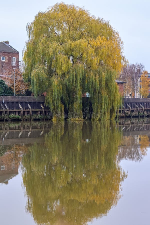 River Walk View stock image. Image of wales, britain - 271789909
