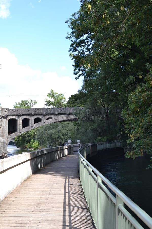 River Walkway Azaleas and Live Oak Trees with Hanging Moss SC Stock ...