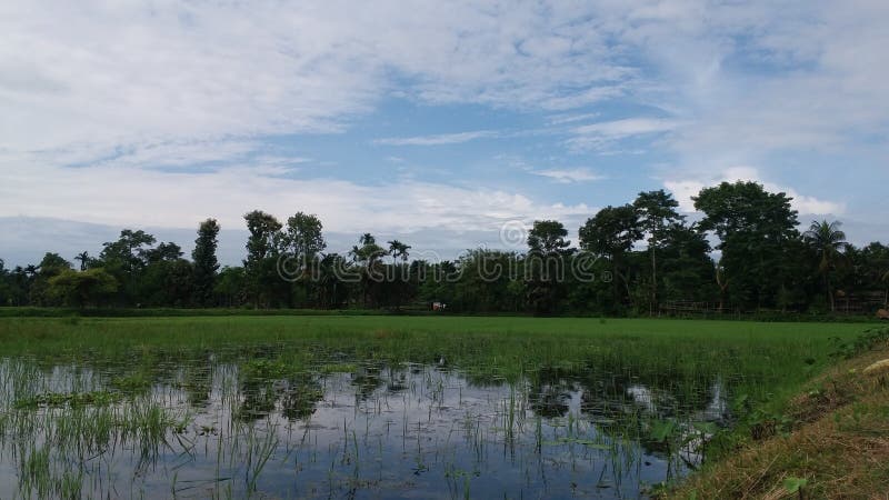 River Water Assam Farm Village View Stock Photo - Image of tree ...