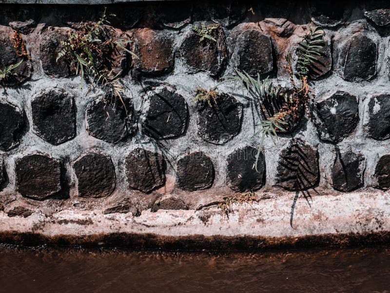 Concrete Foundation Bordering the River Overgrown with Plants and Moss ...