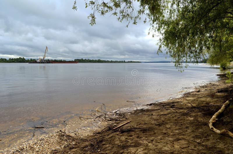 River Water Crane Plants Coast Stock Photo - Image of crane, water ...