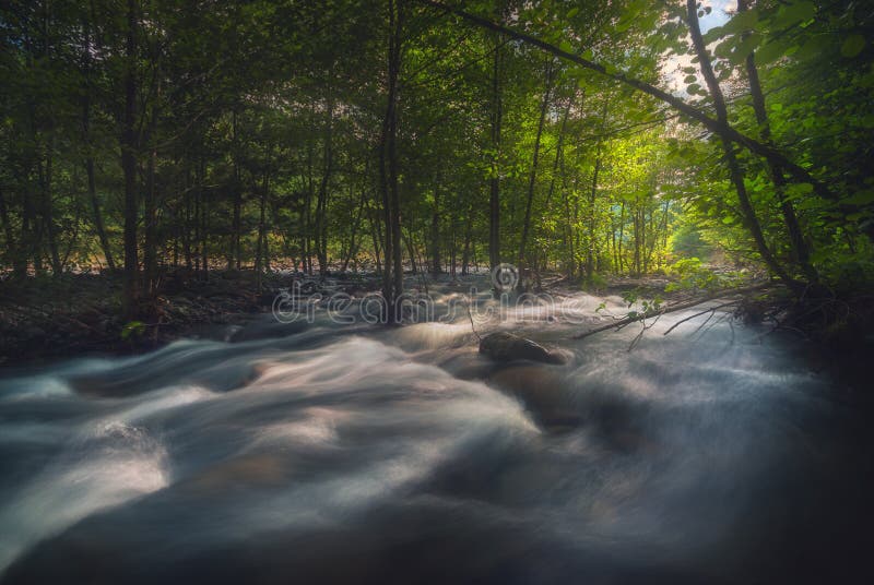 River Water Flow between Forest Trees Stock Image - Image of recreation ...