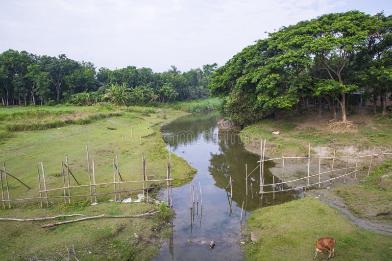 River Water Flows through in the Cannel with Greenery Landscape View of ...