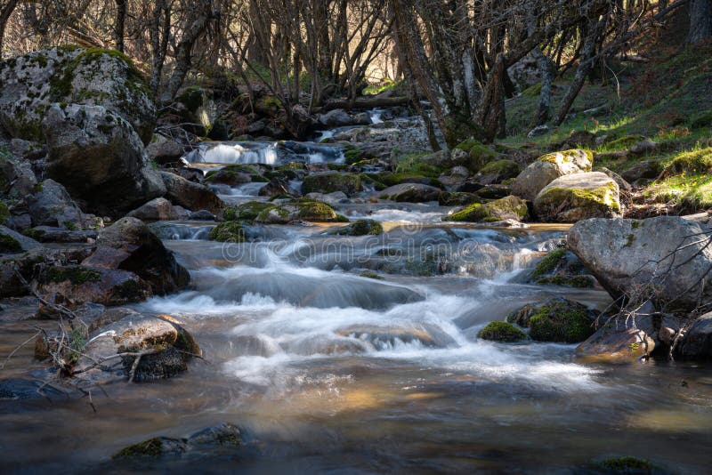 River Water Flows among the Rocks and Forms Small Waterfalls, RascafrÃ ...