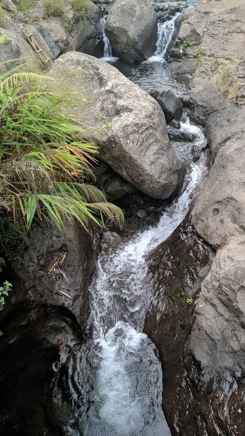 The River Water Flows between the Rocks and Plants in Central Java ...