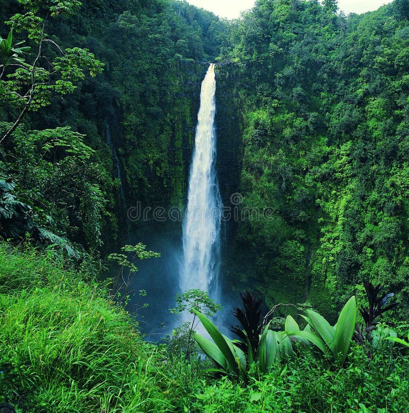 Panorama of Main Cascade of Ekom Waterfall at Nkam River, Cameroon ...