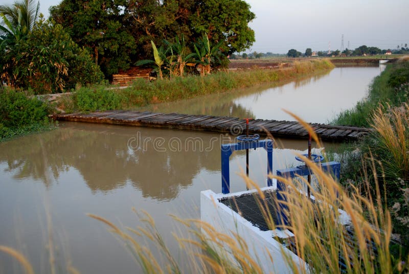 River and water gate stock photo. Image of flowers, fields - 2296228