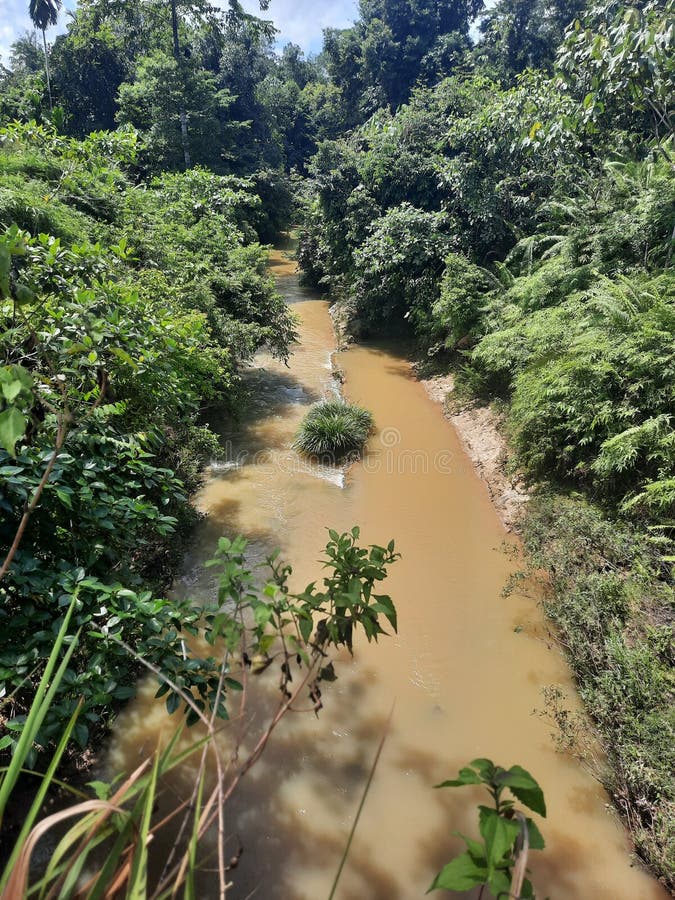 River Water Life Green Trees Stock Image - Image of river, trees: 236279515