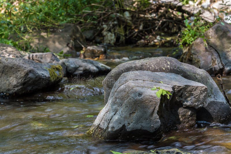 River Scene stock image. Image of happiness, vacation - 140441961