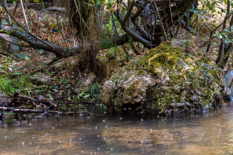 River Scene stock photo. Image of sand, river, small - 140441996