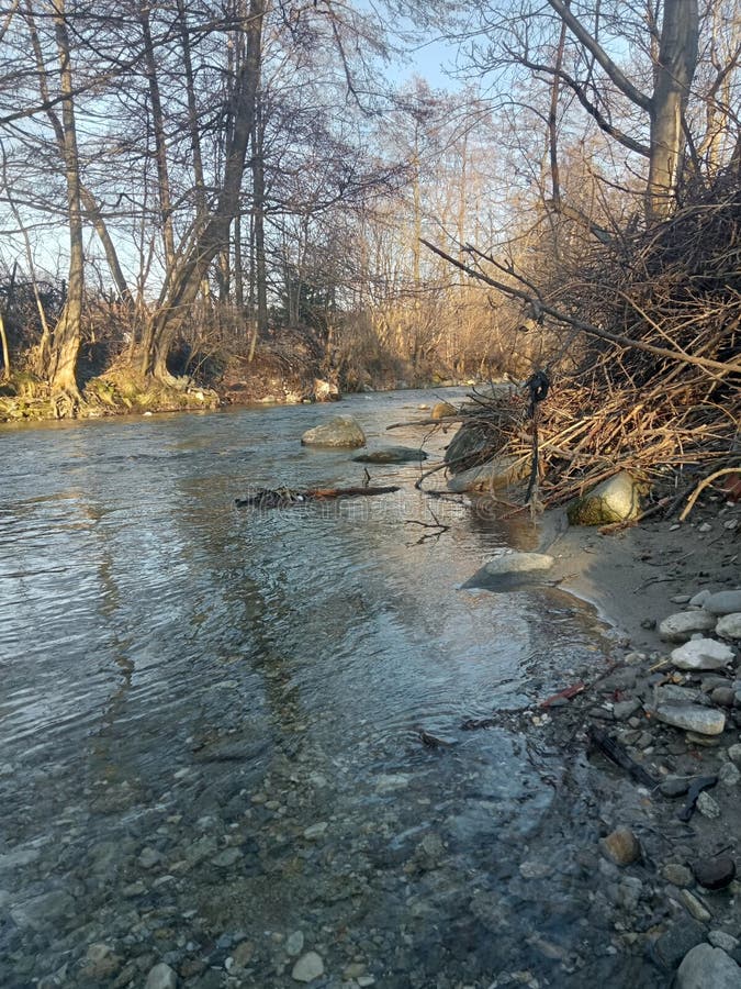 River Water Natural Country Stock Photo - Image of wildlife, river ...