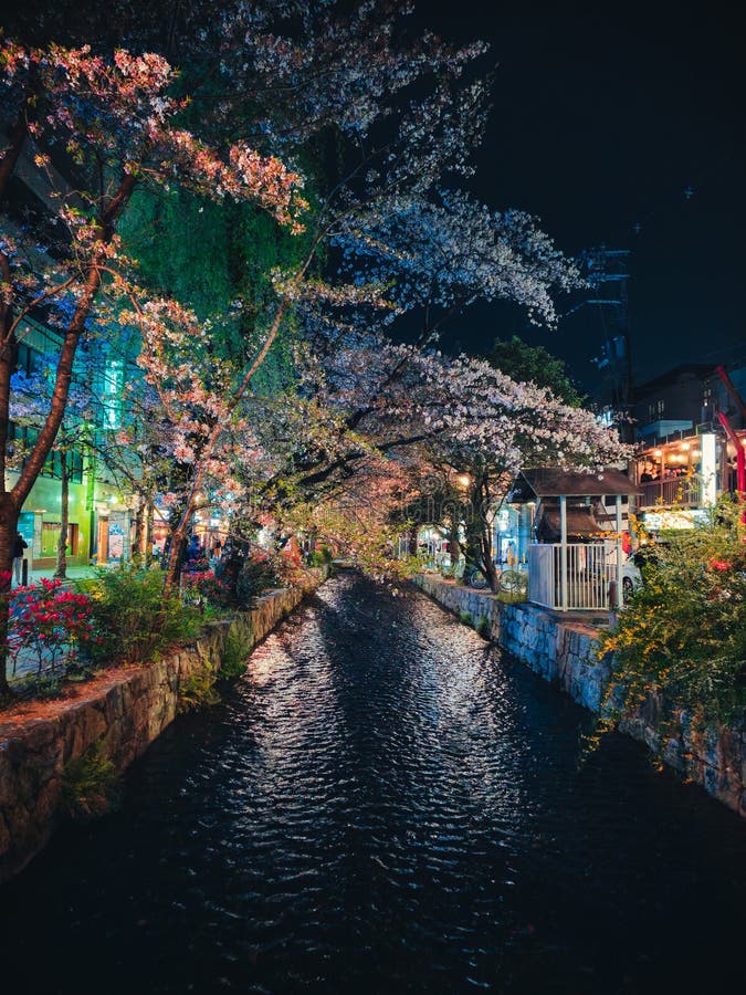 The River Water at Night in Japan Stock Image - Image of scenery, river ...