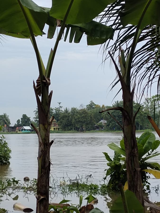 When the River Water Overflows, it Causes Flooding Stock Photo - Image ...
