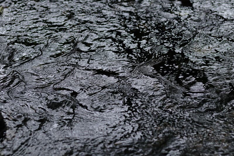 River water pattern stock image. Image of green, metal - 126326189