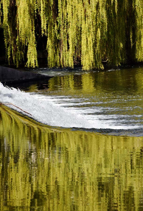 River water reflections stock image. Image of green - 168870047